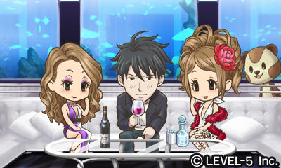 RPG Soluce - News - Girls' RPG : Cinderella Life